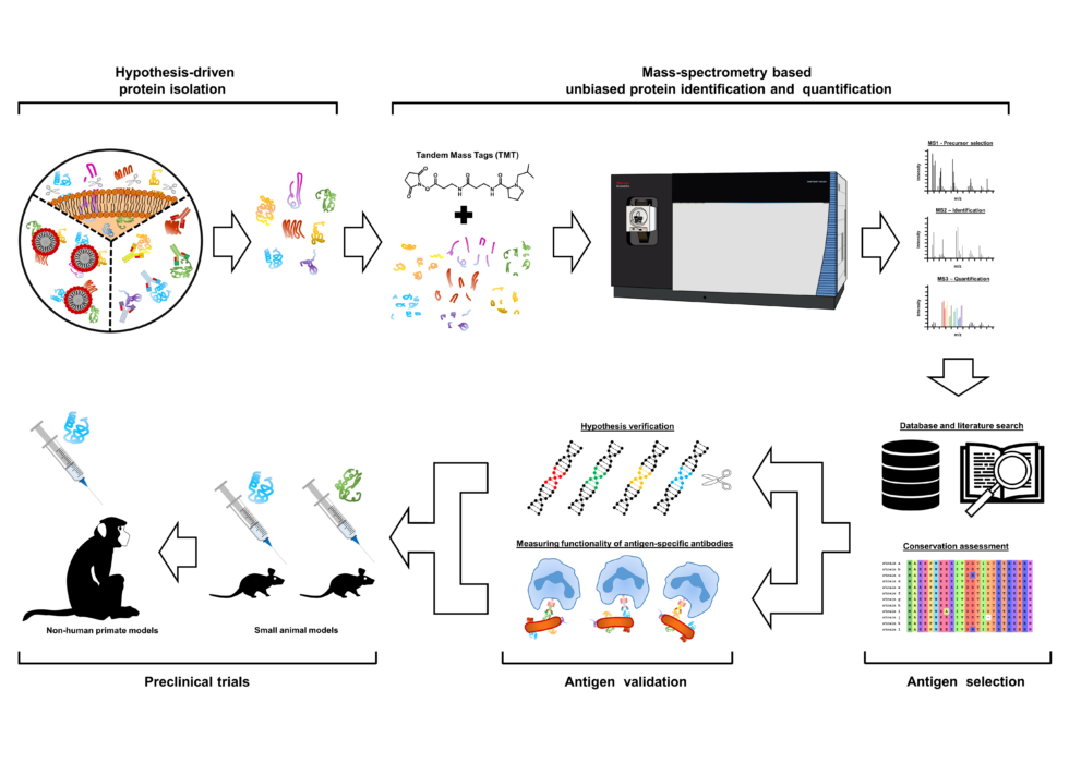 Antigen Discovery Pipeline | ID Antigens